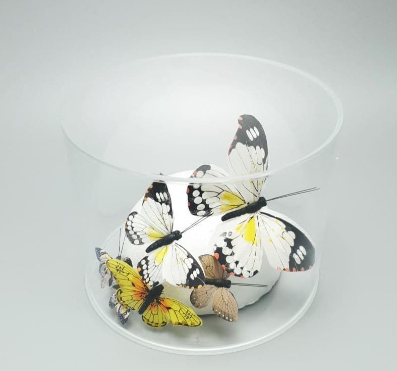 10in ROUND FILLABLE Cake Stand – Hot Stuff Bakeware